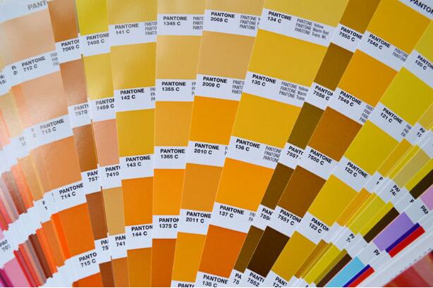 International Standard TPG Pantone Color Swatches 1867 Spot Colors Included International Standard TPG Pantone Color Swatches 1867 Spot Colors Included