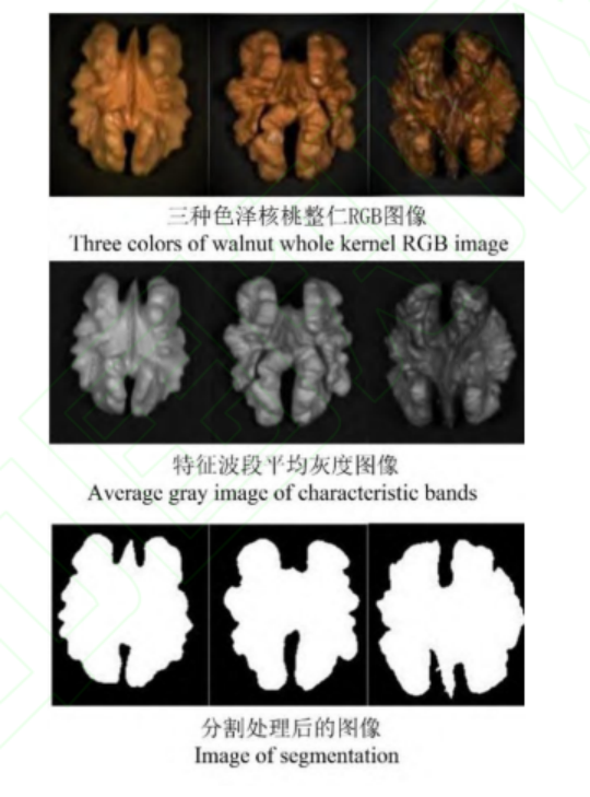 Detection of Walnut Kernel Quality Based On Hyperspectral Imaging