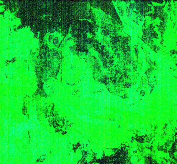 Study and application of hyperspectral imaging to painted cultural relics