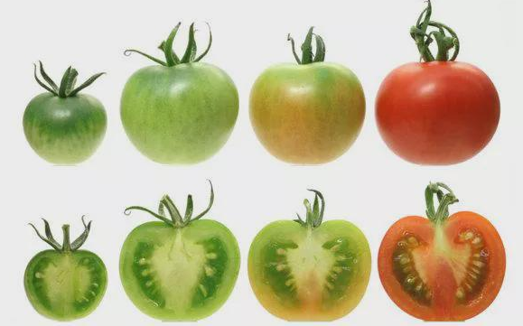 Application of hyperspectral camera in non-destructive testing of fruit ...