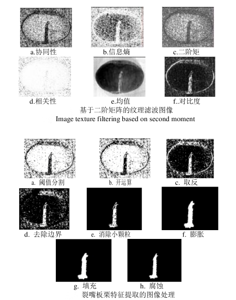 Identification of split mouth chestnut by hyperspectral image technique