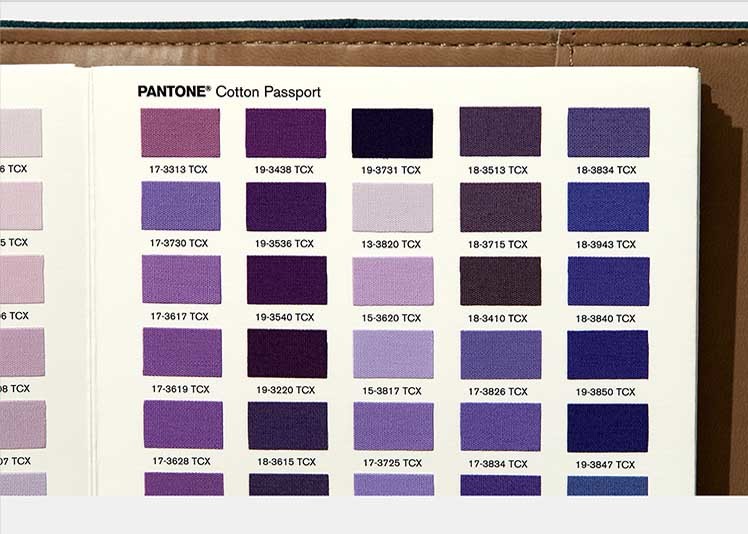 Cotton Version Pantone Color Guide , Pantone Color Chart Easy Carrying