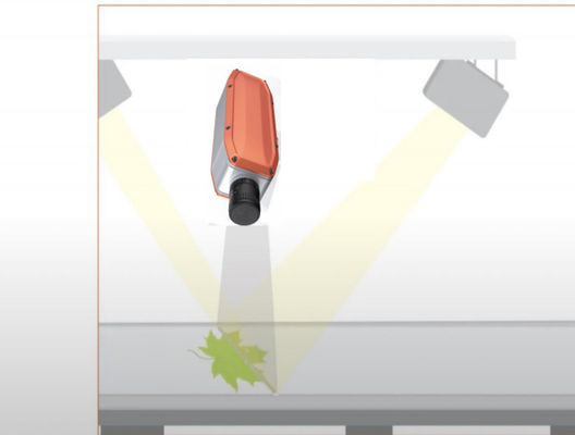 25um Slit Width Hyperspectral Imaging Camera With CMOS Detector FS-20